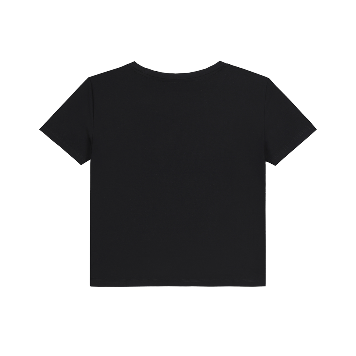 Collections – MNLA